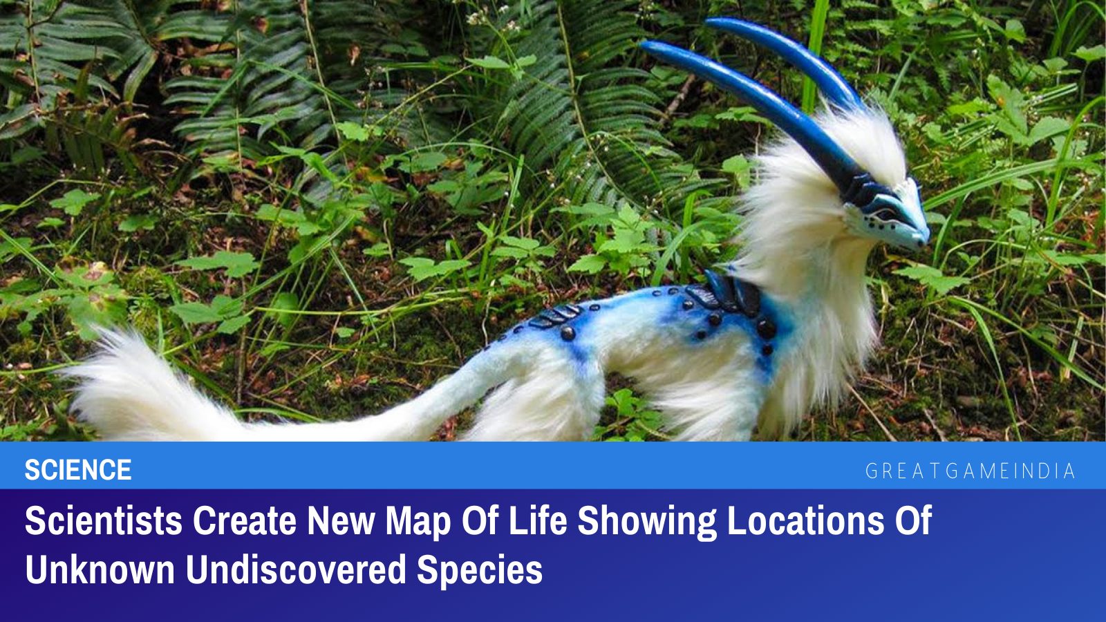 Scientists Create New Map Of Life Showing Locations Of Unknown ...