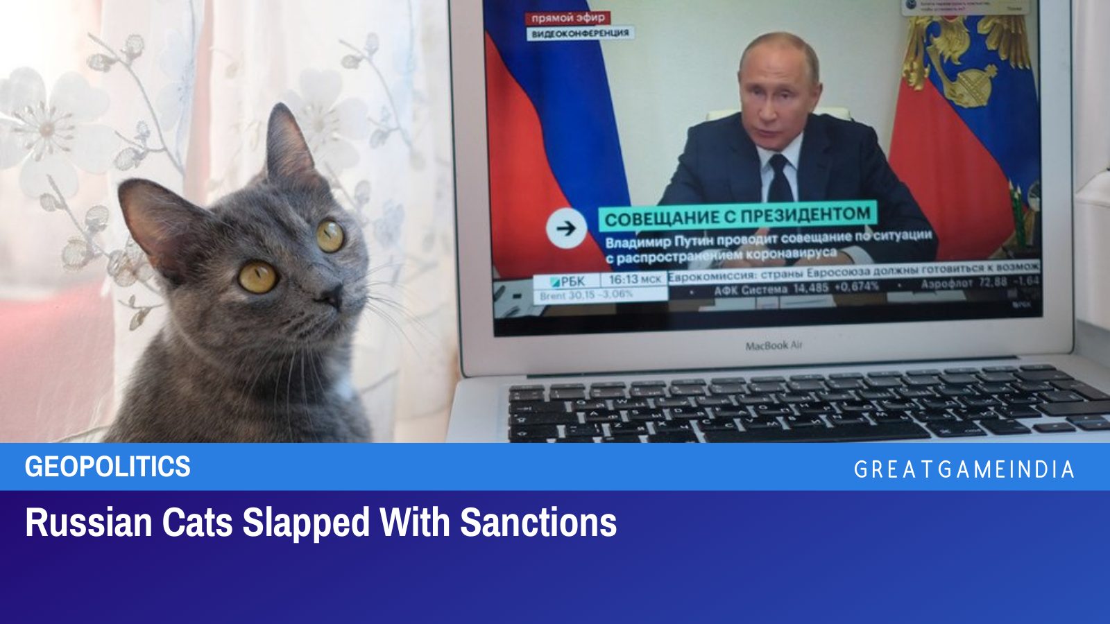 Russian Cats Slapped With Sanctions - GreatGameInternational