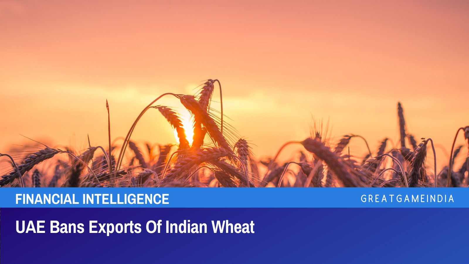 UAE Bans Exports Of Indian Wheat - GreatGameInternational