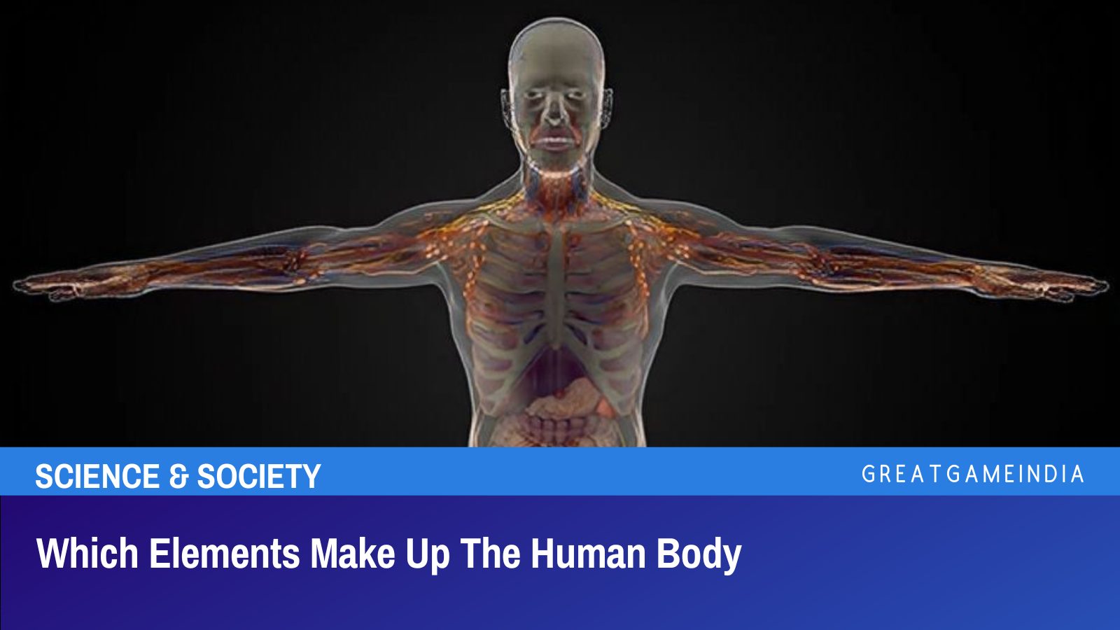 Which Elements Make Up The Human Body - GreatGameInternational