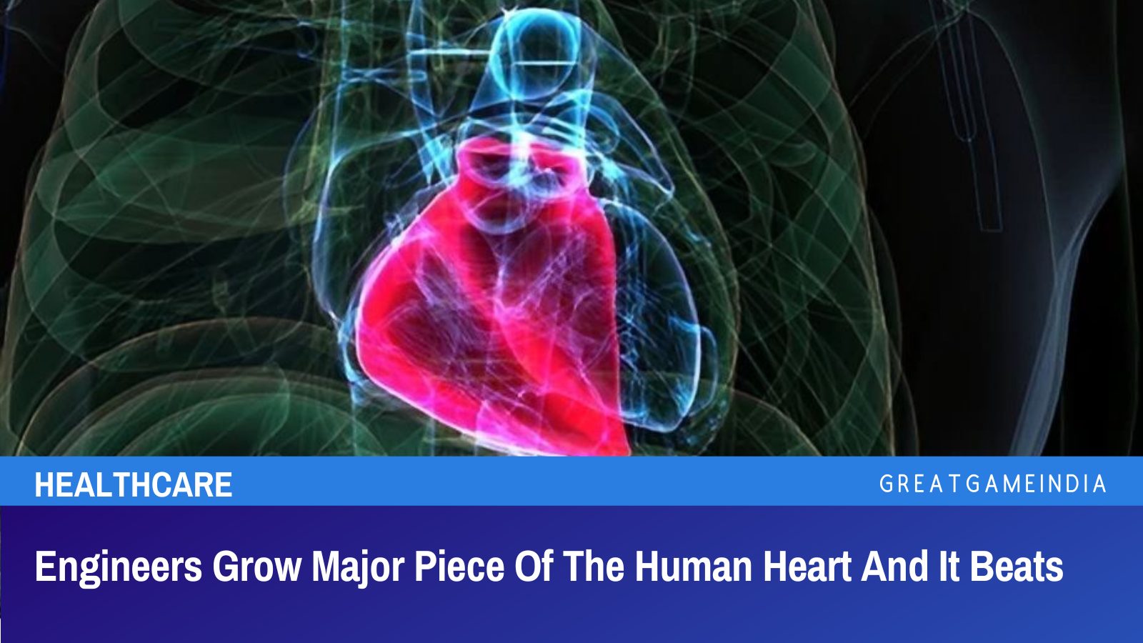 Engineers Grow Major Piece Of The Human Heart And It Beats ...