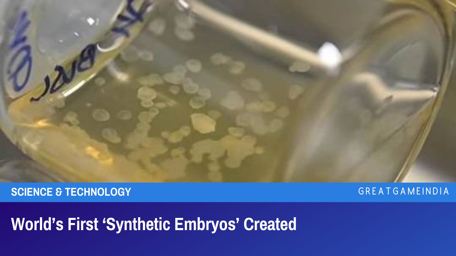 World S First Synthetic Embryos Created Greatgameinternational