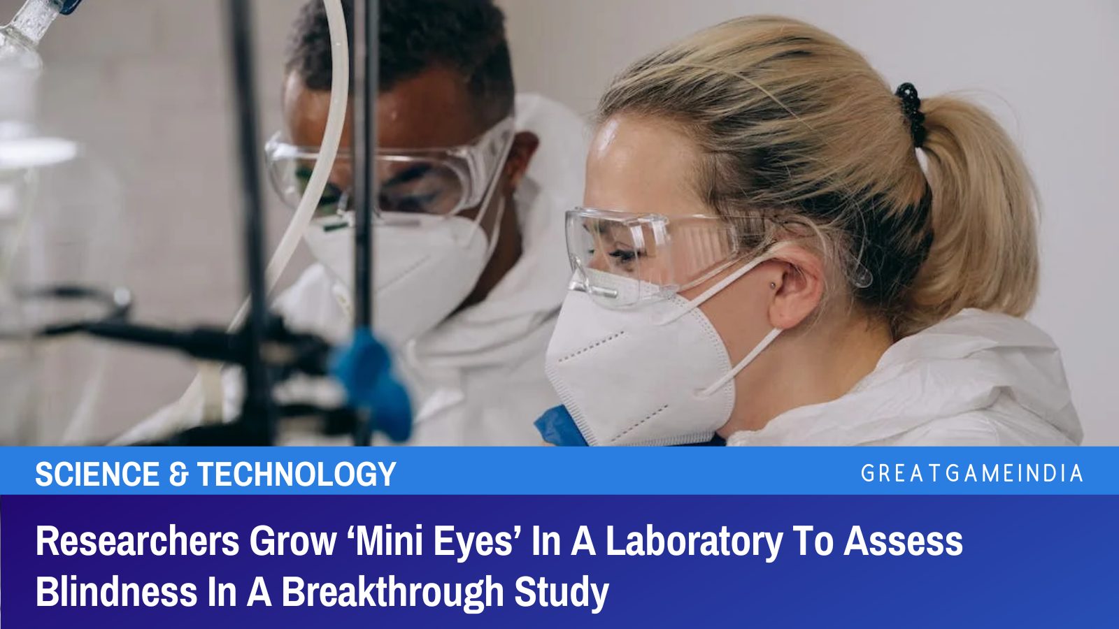 Researchers Grow ‘Mini Eyes’ In A Laboratory To Assess Blindness In A ...