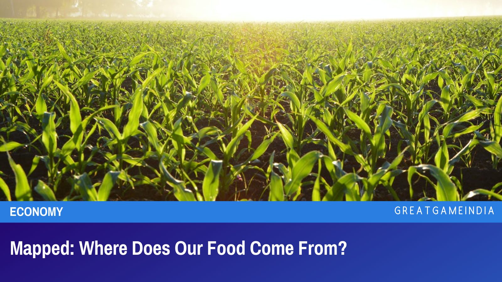 Where Does Our Food Come From? - GreatGameInternational