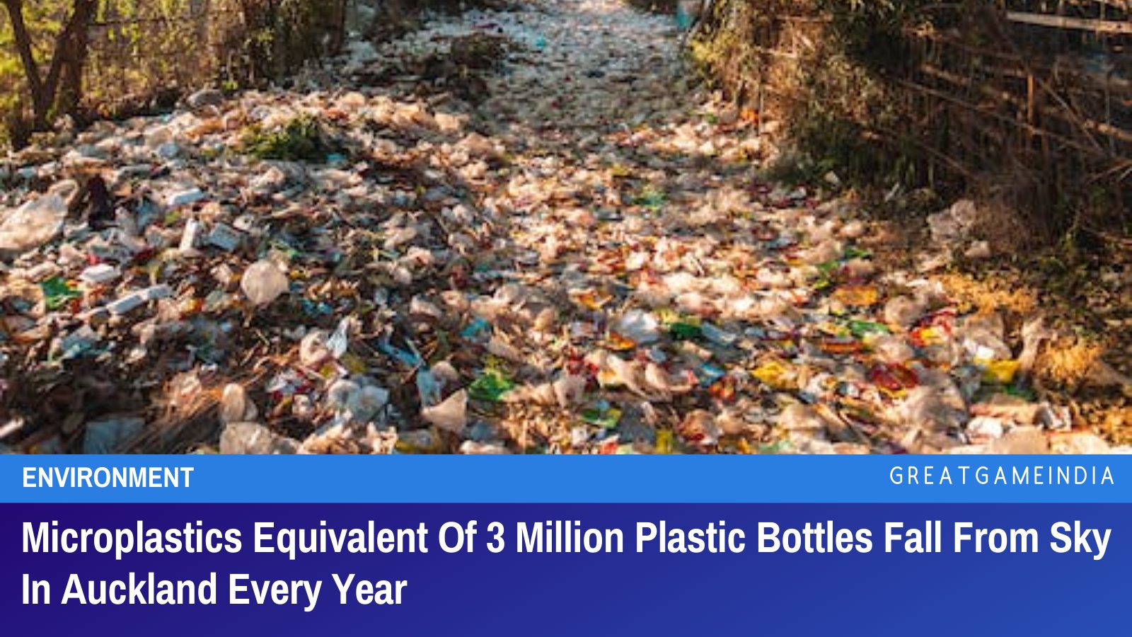 Microplastics Equivalent Of 3 Million Plastic Bottles Fall From Sky In ...