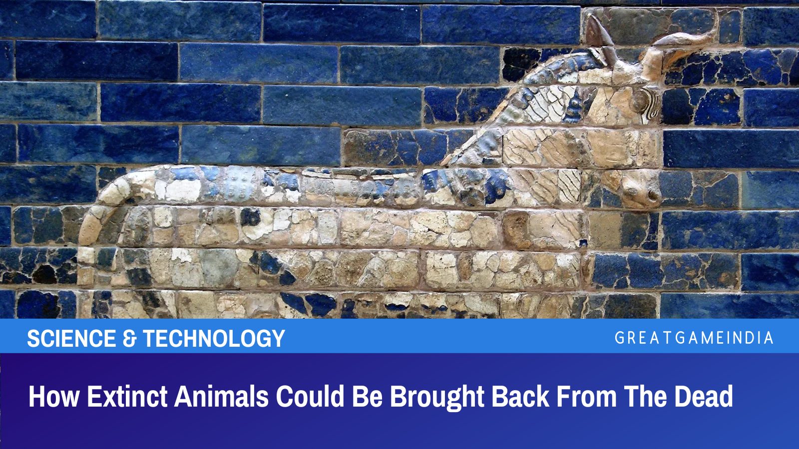 How Extinct Animals Could Be Brought Back From The Dead ...