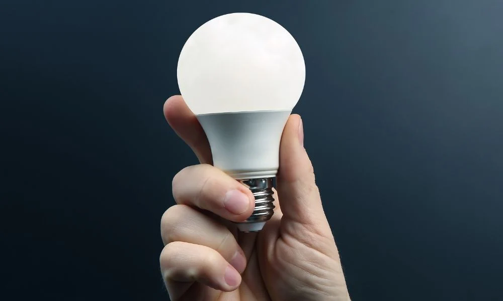 The Night Light Robbery: How LED Bulb Industry Ensures That We Keep ...