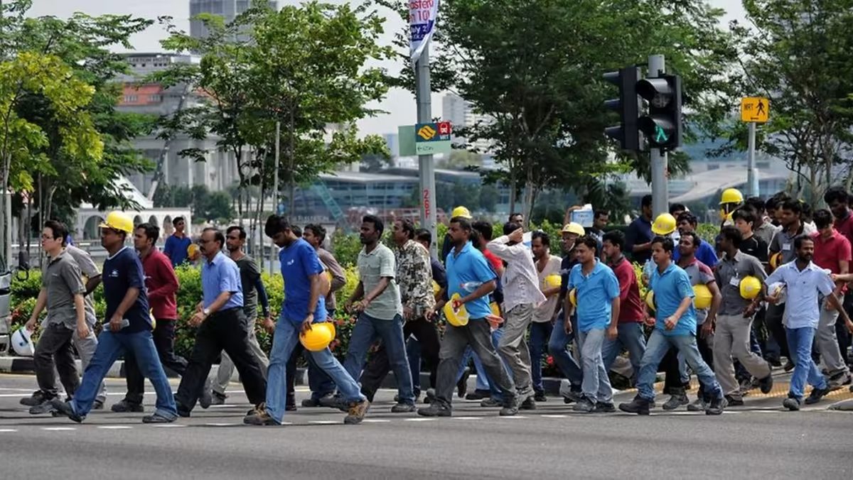 Dark Web Of NGO's Supplying Cheap Migrant Labor To Corporations ...